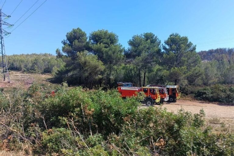 Alerte rouge au Vaucluse pour risque "très élevé" de feux de forêts ce ...